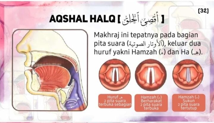 Mengetahui Makharijul Huruf Bag. 2: Al-Halqi ( Tenggorokan)